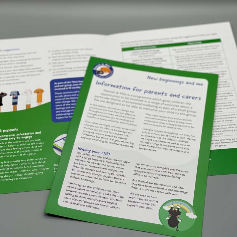 About us - Wellbeing Resources & Emotions curriculum | Hamish & Milo